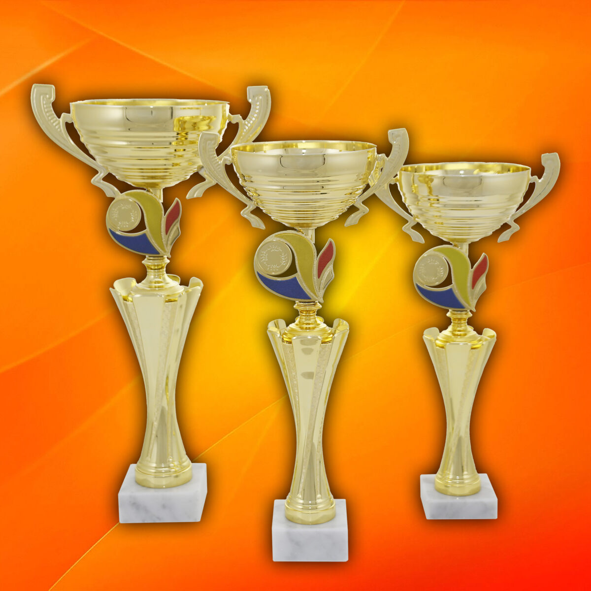 N0385 Set cupe elegante – trofee cupe tricolor - medalii si premii